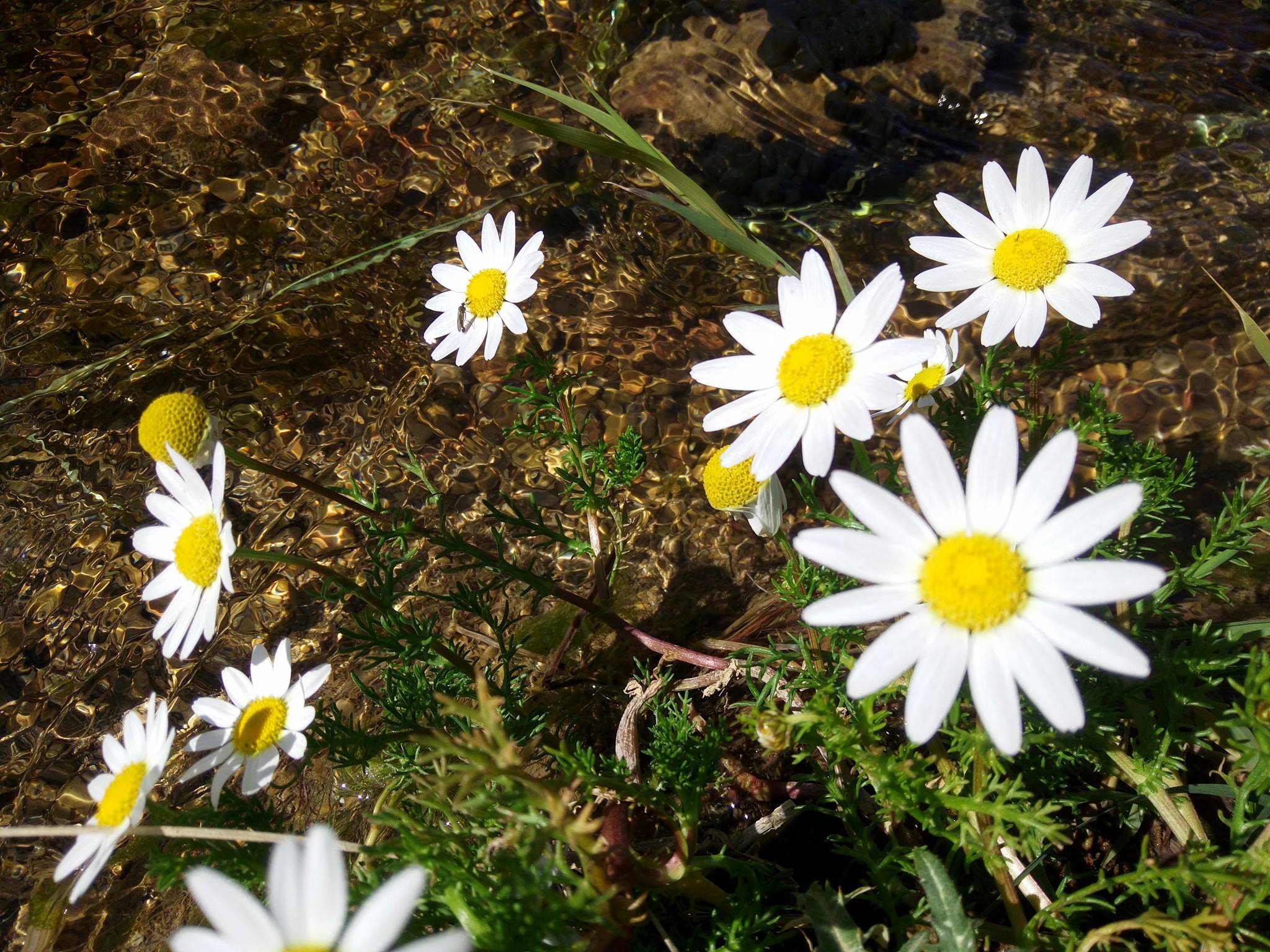 Randonnee Oued Zitoun Bizerte, Tunisie